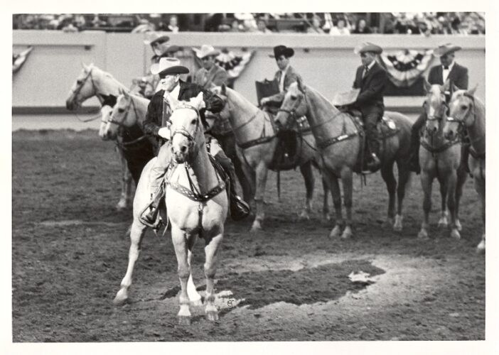 Feek’s Vision: Tooke ‘Bred to Buck’ legacy now a feature documentary ...